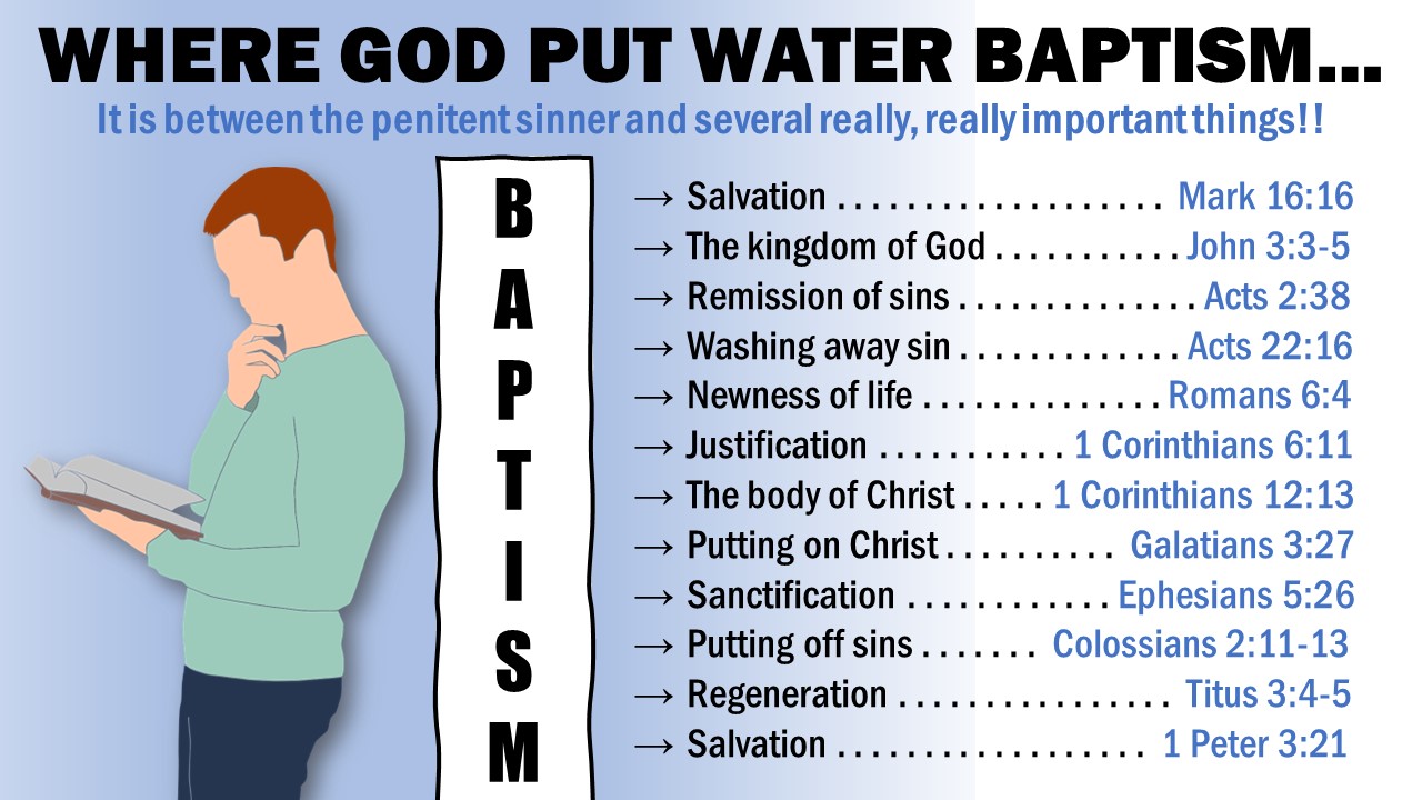 Bible Visuals: Instructive Images For Faith And Doctrine | a New ...