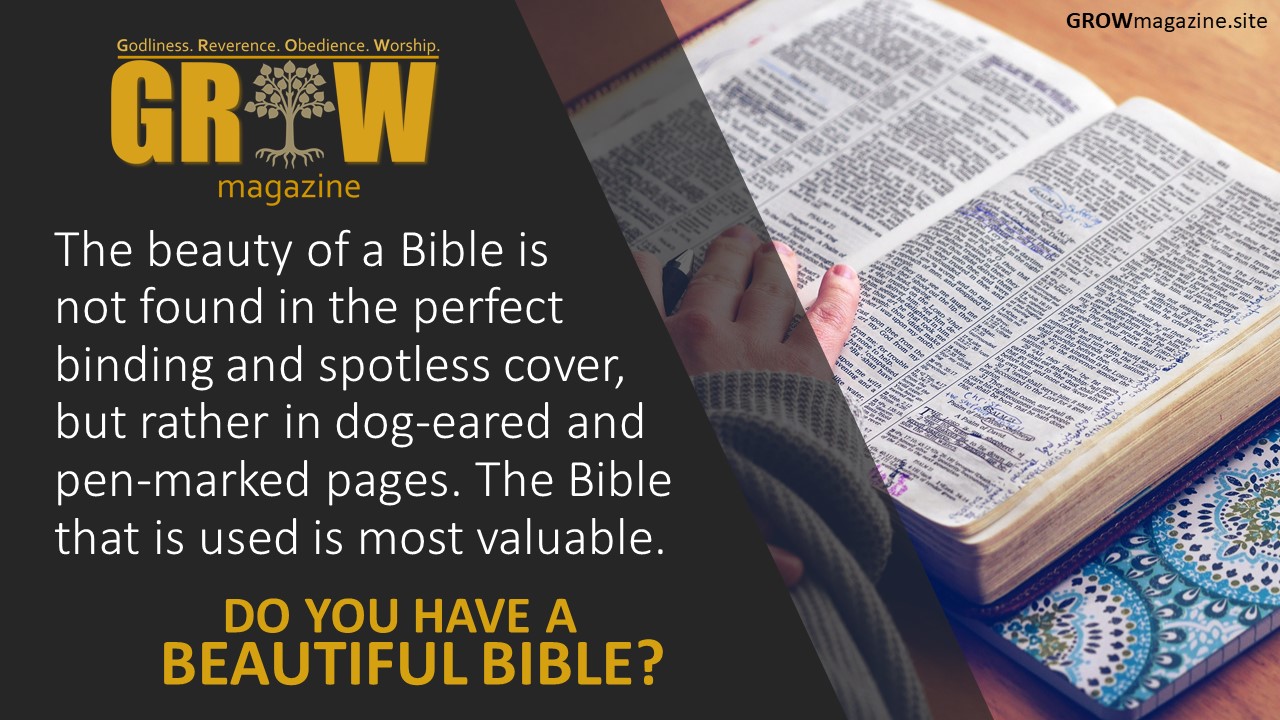 Bible Visuals: Instructive Images For Faith And Doctrine | a New ...